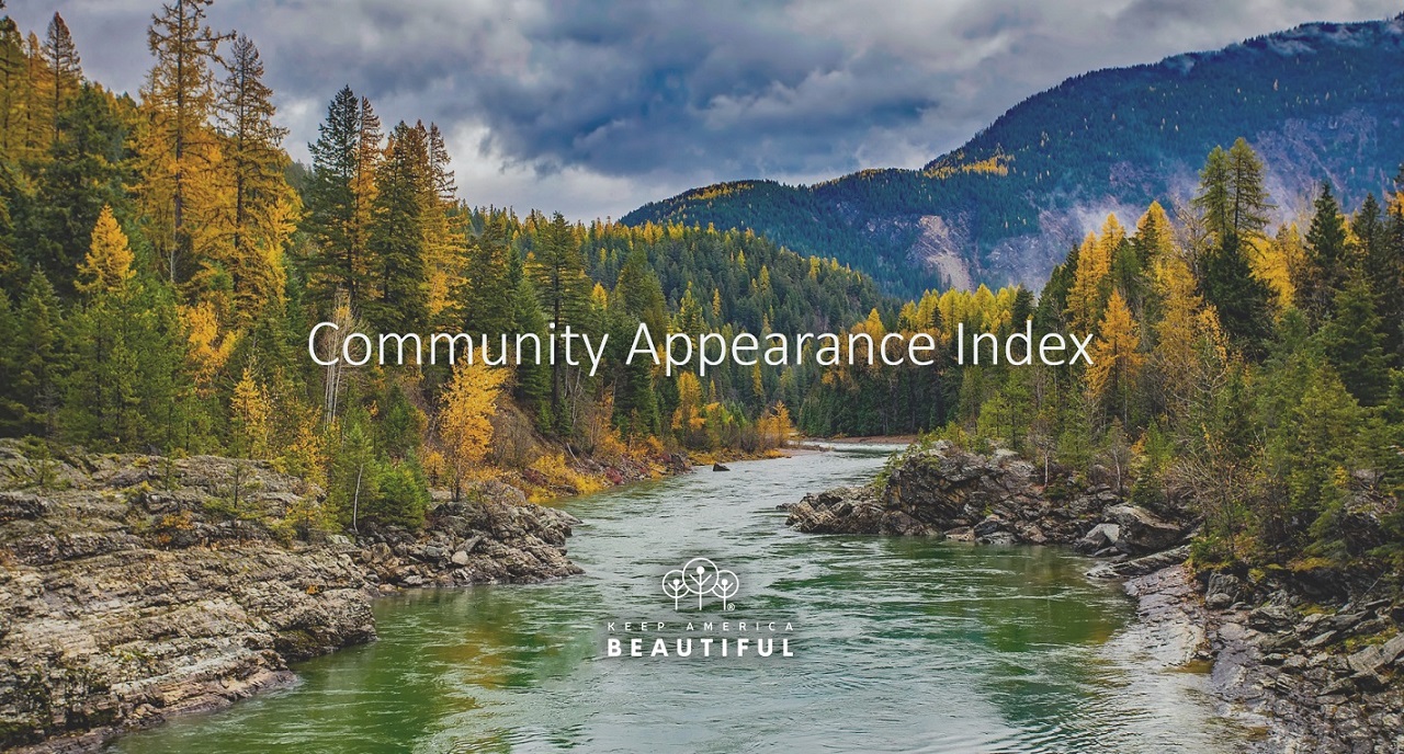 Community Appearance Index Reporting Form